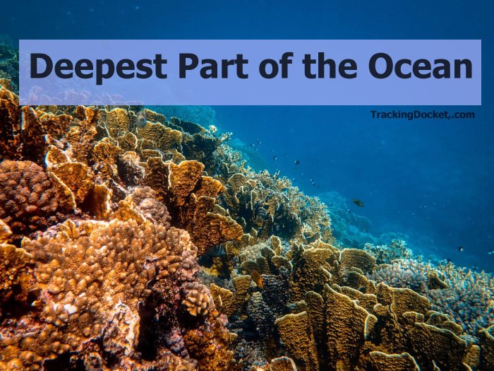 Deepest part of Ocean in the World | Tracking Docket Deepest part of Ocean in the World | Tracking Docket